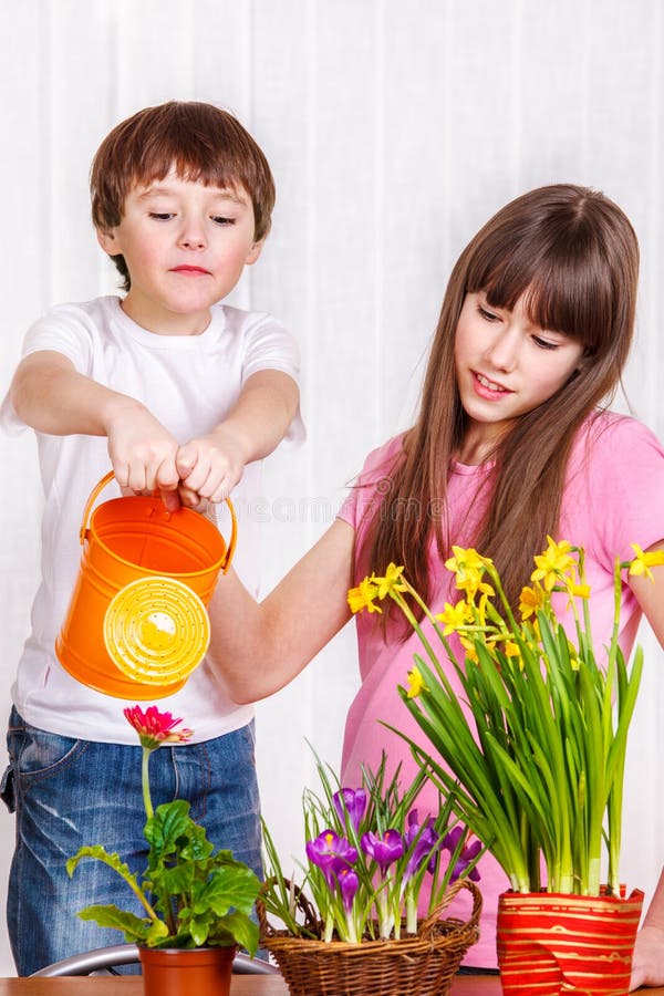 Spring flowers stock image. Image of narcissus, kids - 29460013