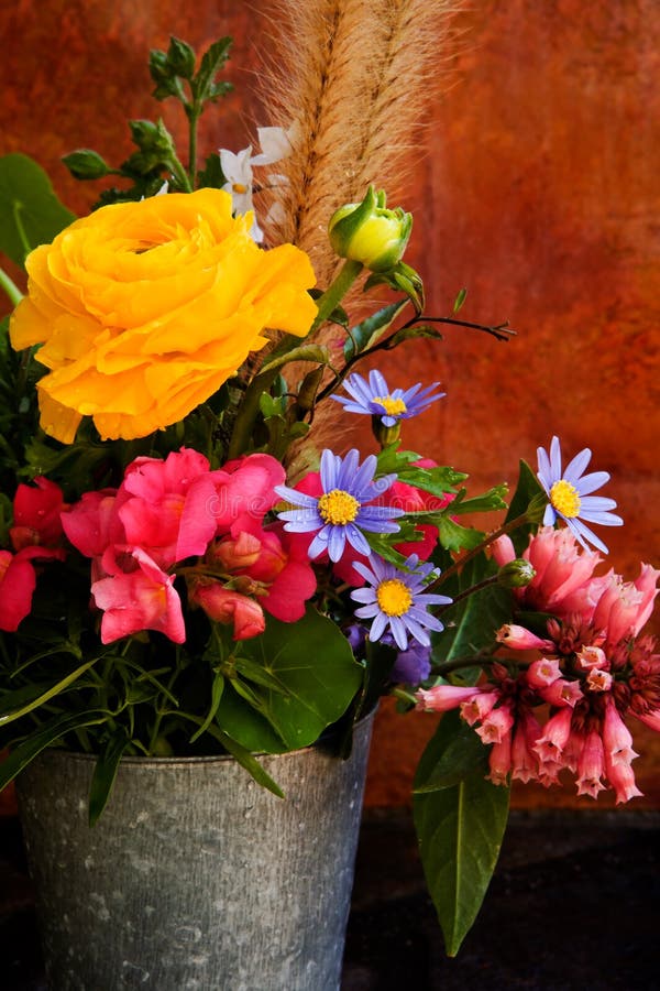 Spring Flowers stock photo. Image of pink, daisy, bright - 4343300