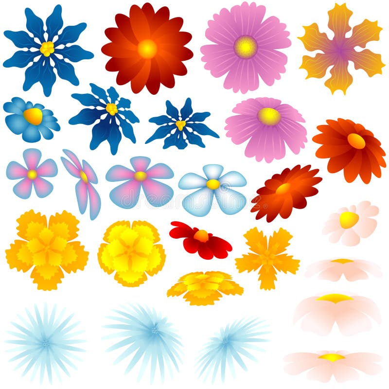 Big Set of Beautiful Colorful Flowers. Stock Vector - Illustration of ...