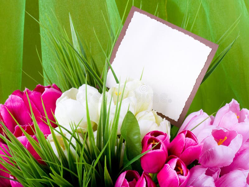 Spring Flowers with Banner Add Stock Photo - Image of love, flora: 24267334