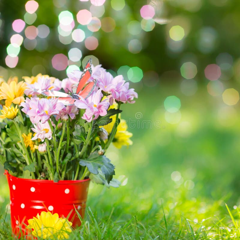 Spring flowers stock image. Image of gardening, conservation - 37858779