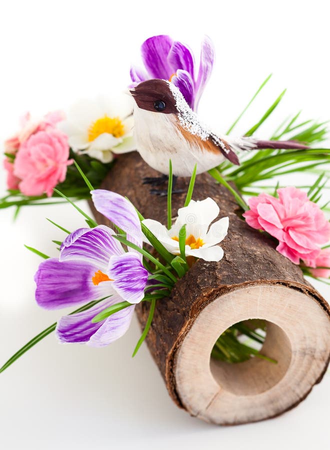 Spring flowers and bird stock image. Image of colour - 29258555