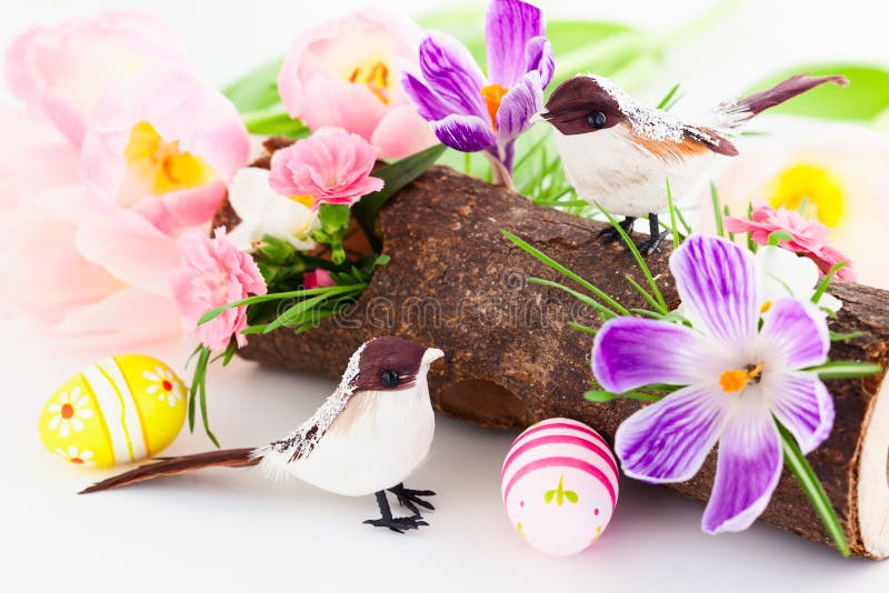 Spring flowers and birds stock photo. Image of colour - 29258562