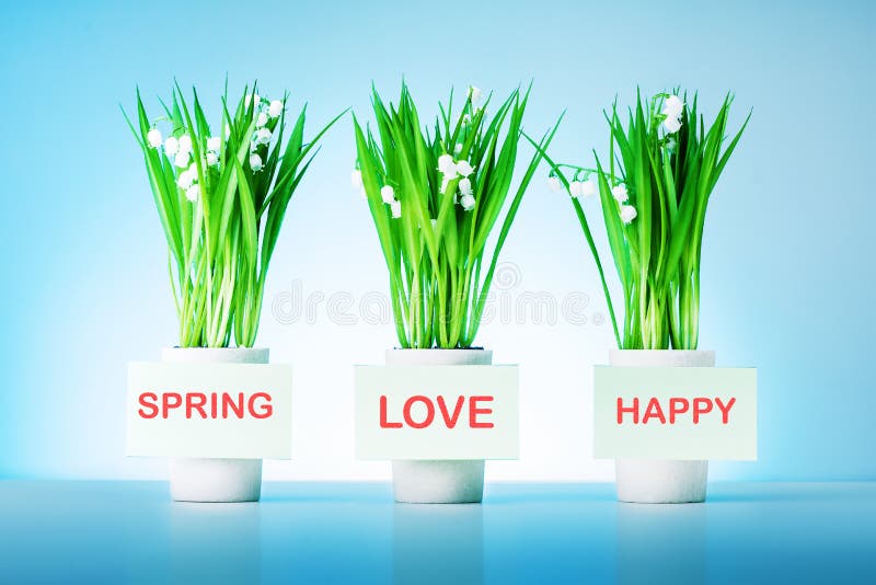 Spring Flowers with Blanks, Spring, Love, Happiness. Stock Photo ...