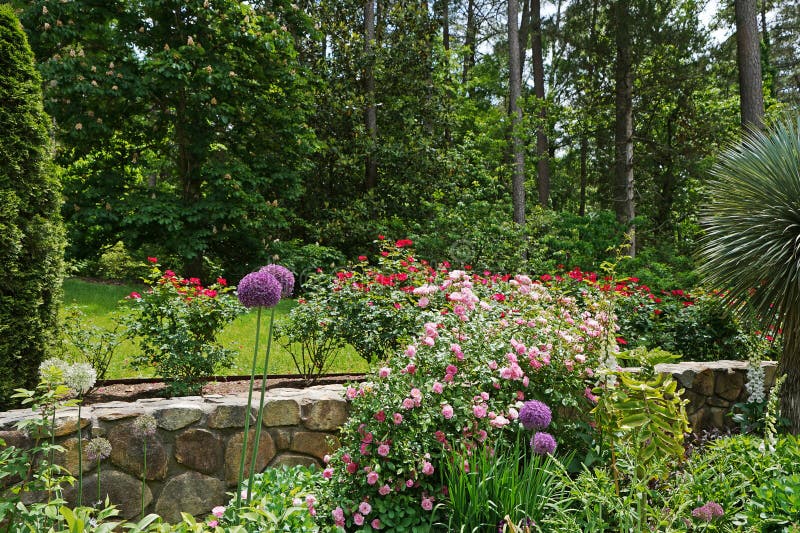 Spring Flowers in Bloom in Duke Gardens on the Campus of Duke ...