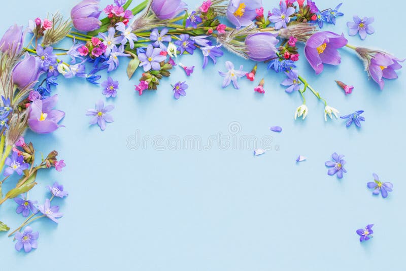 Spring Flowers on Blue Background Stock Image - Image of natural ...