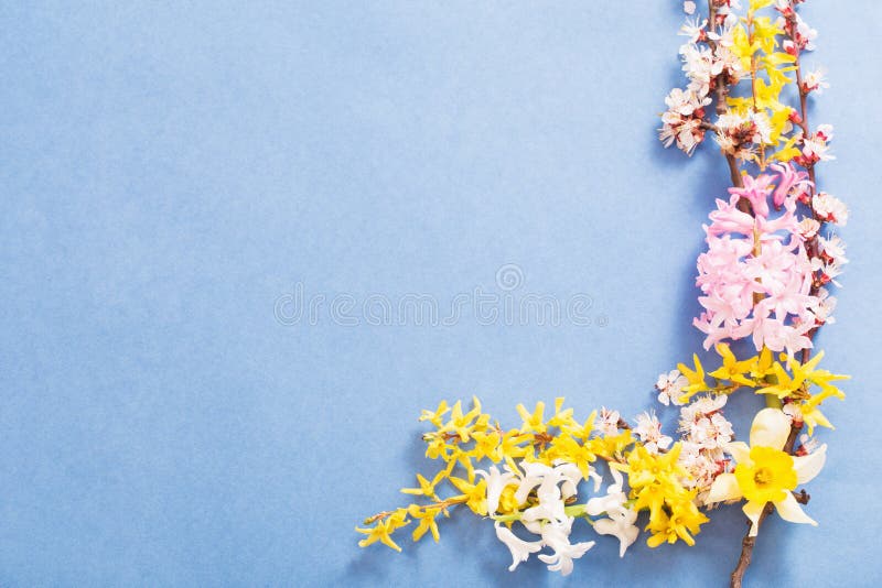 The Spring Flowers on Blue Paper Background Stock Image - Image of ...