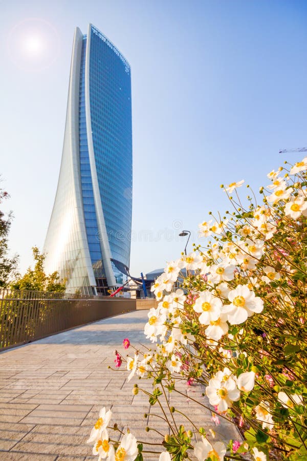 Spring Flowers with Blurred Modern Buildings, Office Building ...