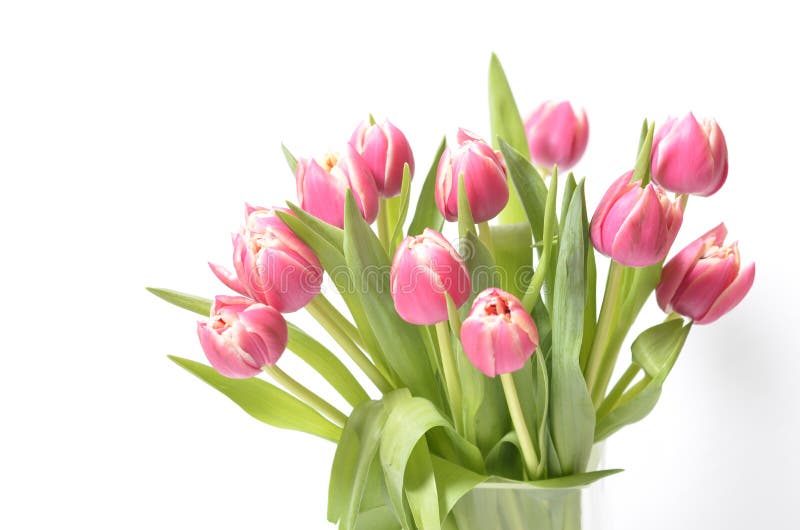 Spring flowers bouquet stock photo. Image of bright, artistic - 93373466