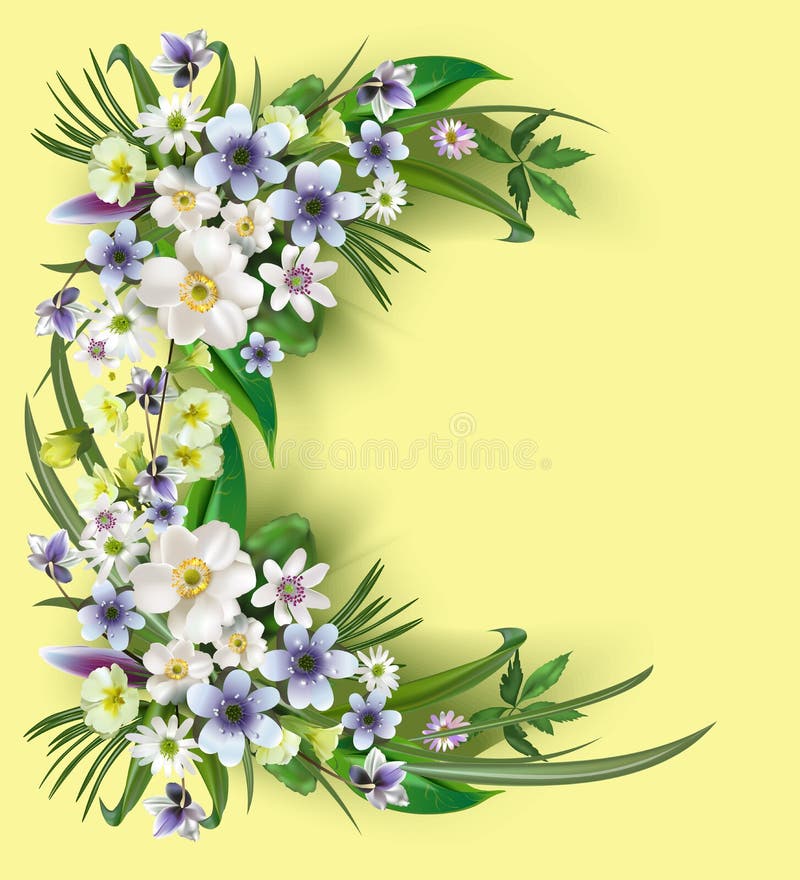 Composition of the Delicious Spring Flowers for Design of Postcards ...