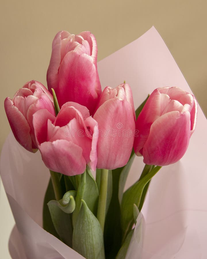 Spring Flowers. Bouquet of Pink Tulips Stock Photo - Image of garden ...