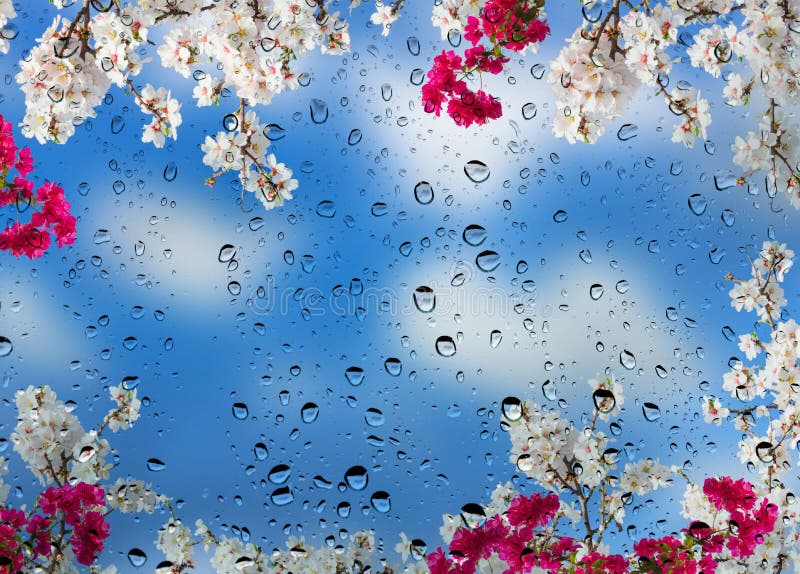 Cloudy bubbles in a hand stock image. Image of bubbles - 185081431