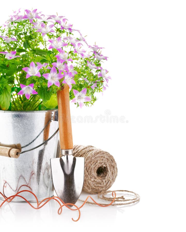 Spring Flowers in a Bucket with Garden Tools Stock Photo - Image of ...