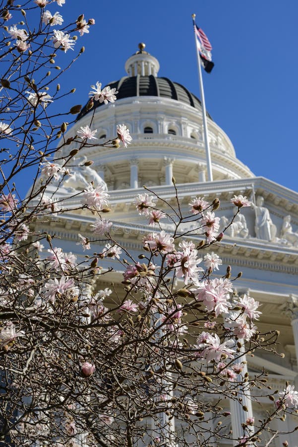 Sacramento State Capitol of California Building Stock Image - Image of ...