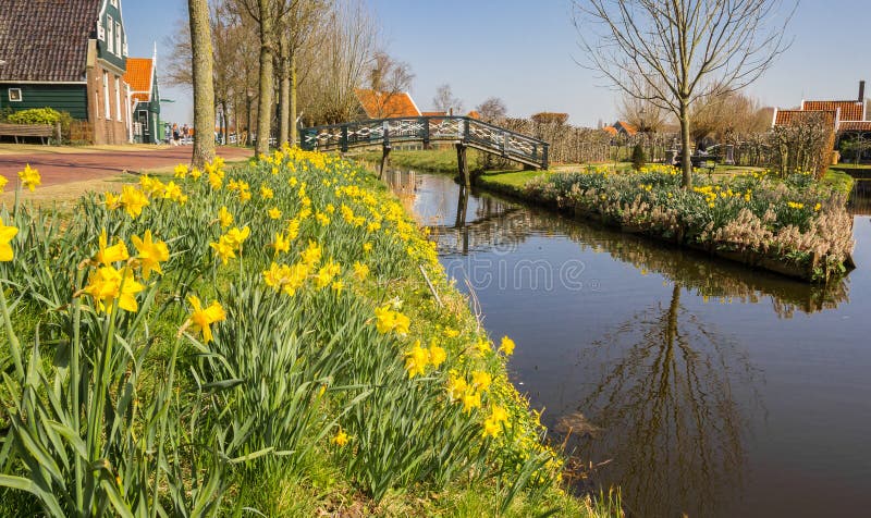 Spring Flowers at the Canal in the Center of Zaanse Schans Stock Image ...