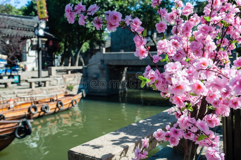Flower In Spring Suzhou China Stock Photo - Image of house, mountain ...