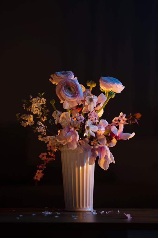 Spring Flowers Close Up in Color Light Stock Image - Image of ...