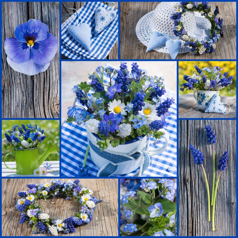 Spring flowers collage stock photo. Image of collage - 53358826