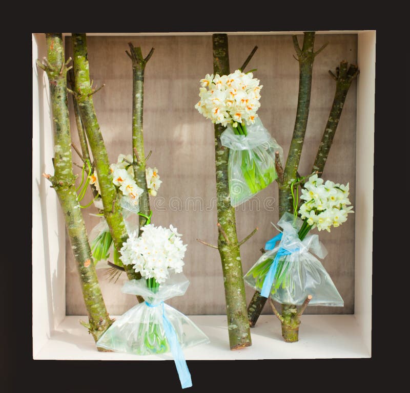 Spring flowers stock photo. Image of flower, leaf, european - 40537402