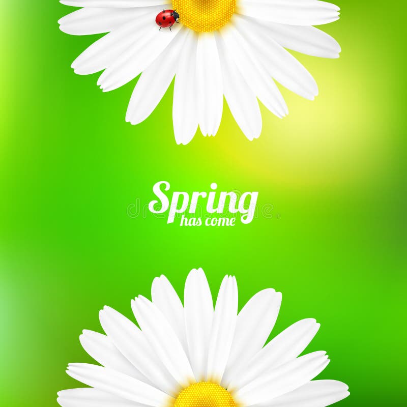 Spring Flowers Composition. Stock Vector - Illustration of natural ...