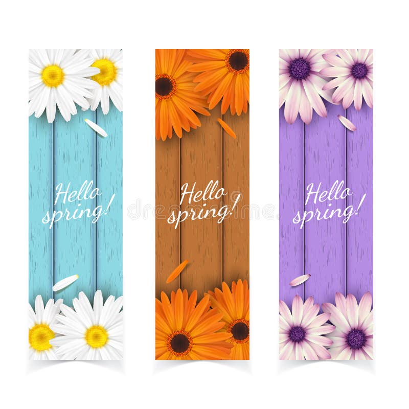 Spring Flowers Composition. Stock Vector - Illustration of nature ...