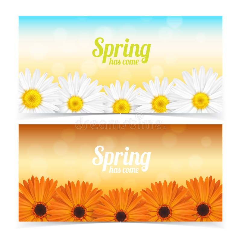 Spring Flowers Composition. Stock Vector - Illustration of march ...