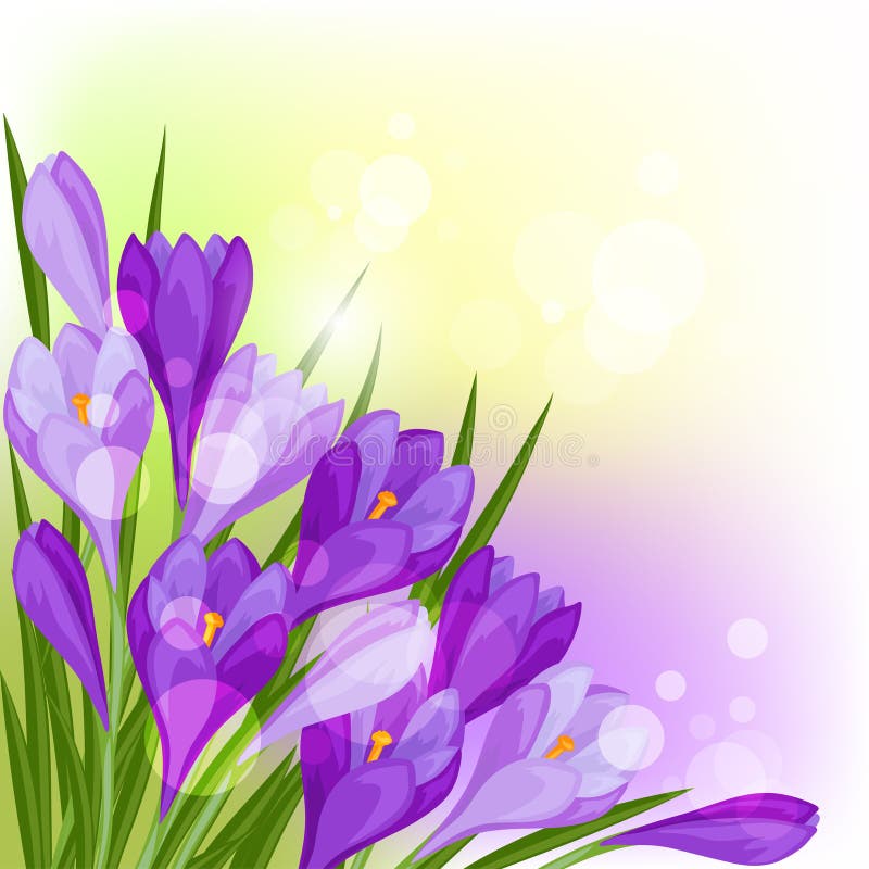 Crocus Stock Illustrations – 13,383 Crocus Stock Illustrations, Vectors ...