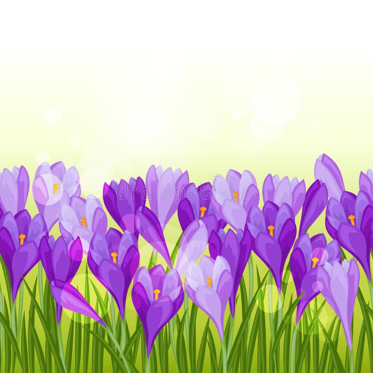 Crocus Border Stock Illustrations – 2,341 Crocus Border Stock ...