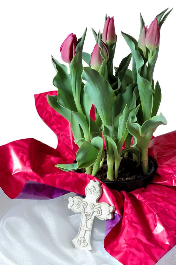 Spring flowers and cross stock photo. Image of leaves - 2033290