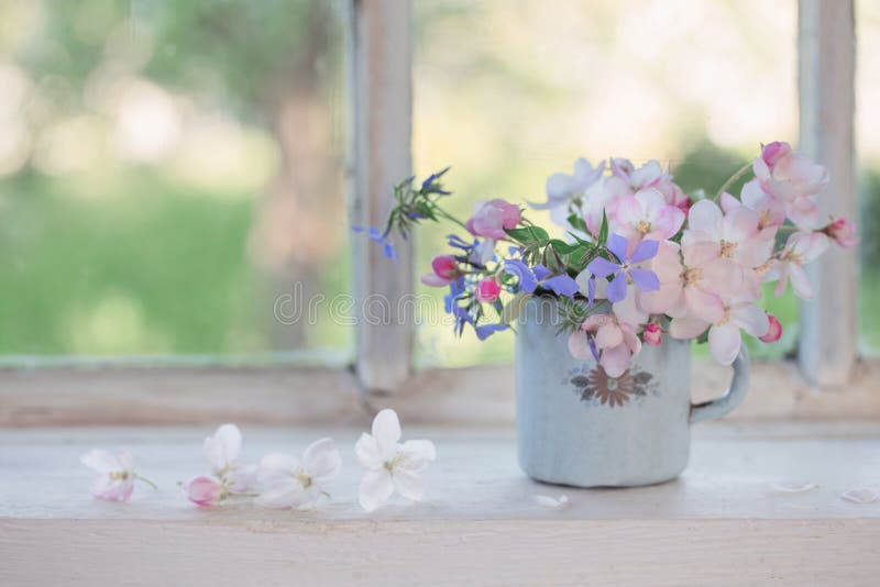 Spring Flowers in Cup on Windowsill Stock Photo - Image of celebration ...