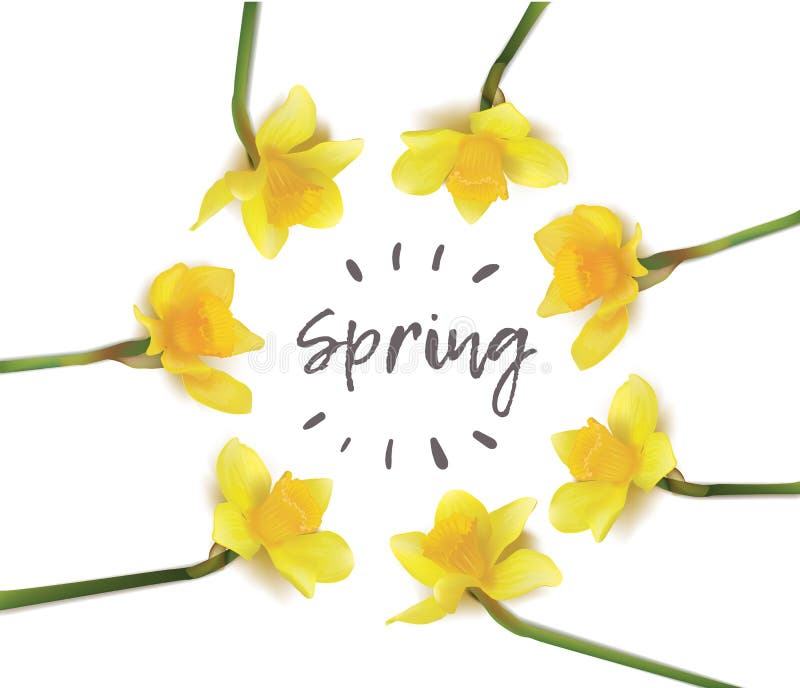 Irina Rumiantseva (Ptahai) - Photographer profile