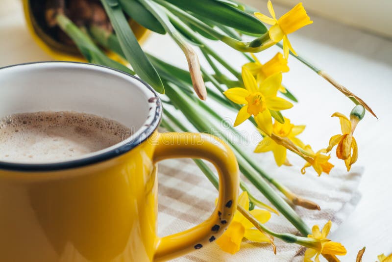 Spring Flowers Daffodils with a Cup of Coffee, Cappuccino, Close Stock ...