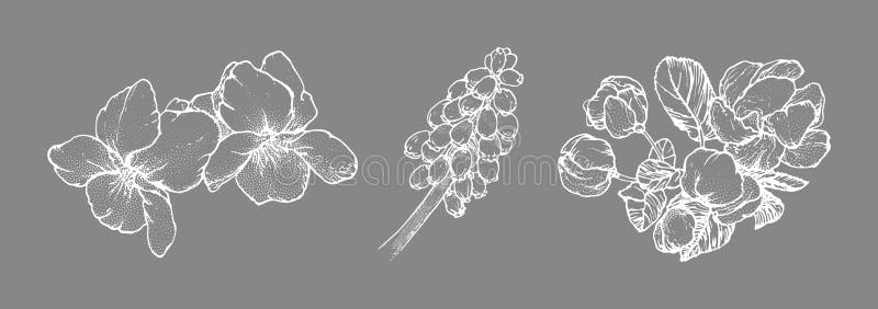 Spring Flowers Drawing with Line Art on Grey Background Stock Vector ...