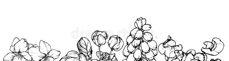 Spring Flowers Drawing with Line-art on White Background Stock Vector ...