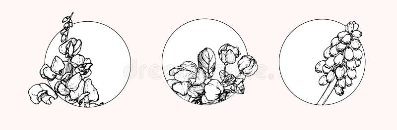 Spring Flowers Drawing with Line-art on White Background Stock Vector ...