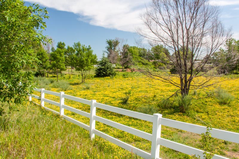 Spring Flowers in Fence Lined Pasture in Midwest Prairie Stock Image ...