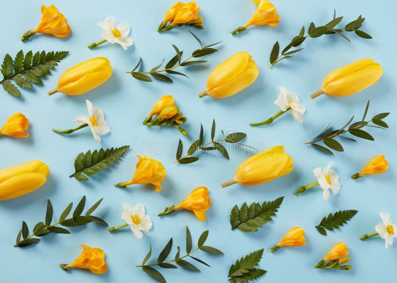 Spring flowers flat lay stock image. Image of greeting - 214822987