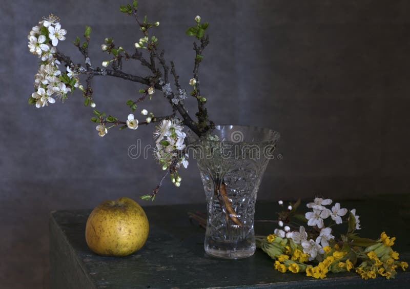 Spring flowers stock photo. Image of plant, vase, life - 35264126