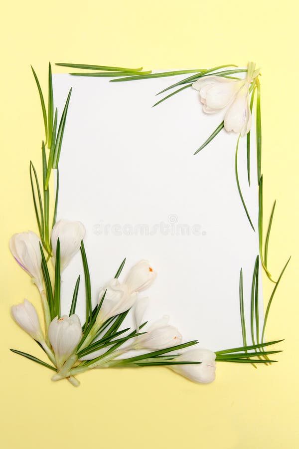 Beautiful Nature Spring Background Stock Image - Image of close, floral ...