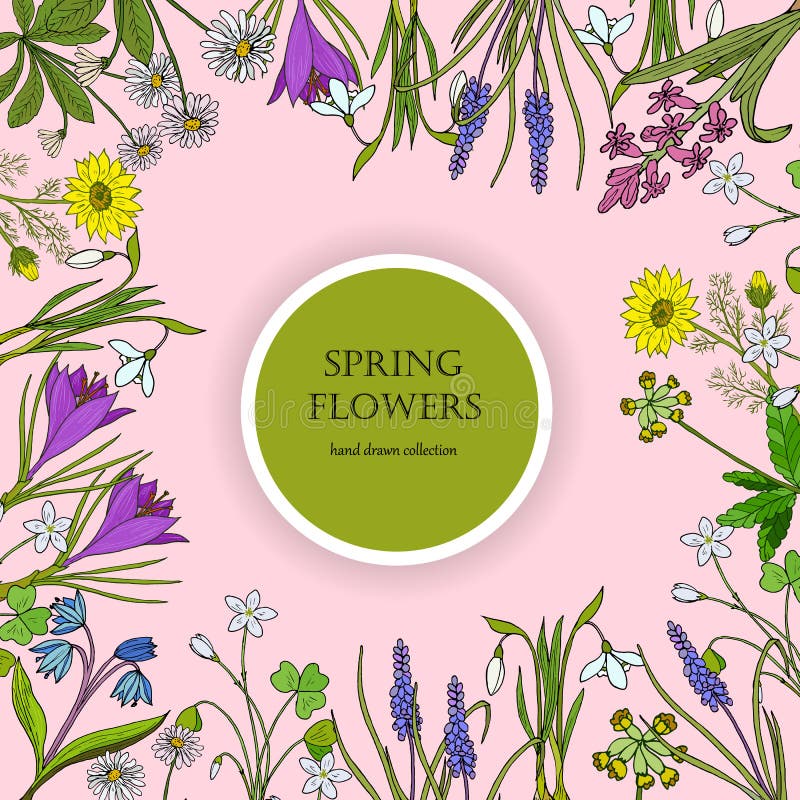 Spring flowers frame stock vector. Illustration of botanical - 158915273