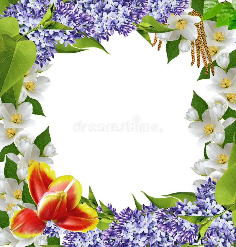 Spring flowers. frame stock image. Image of blossom, frame - 50442915