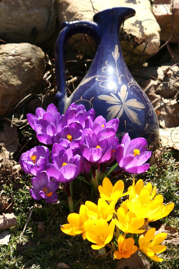 Spring Flowers in a Garden. Stock Image - Image of grass, yellow: 709431