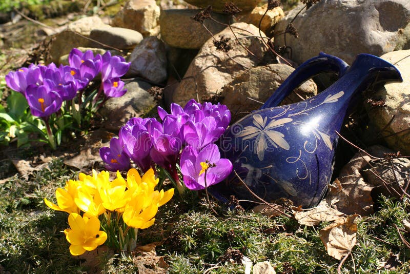 Spring Flowers In A Garden. Stock Photo - Image of blue, warmly: 709442