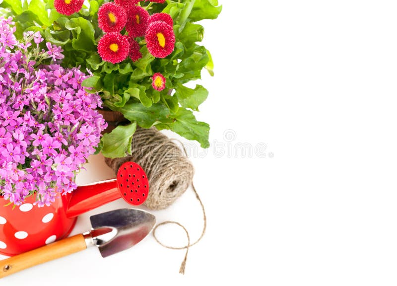 Spring Flowers with Garden Tools Stock Photo - Image of leaf, life ...