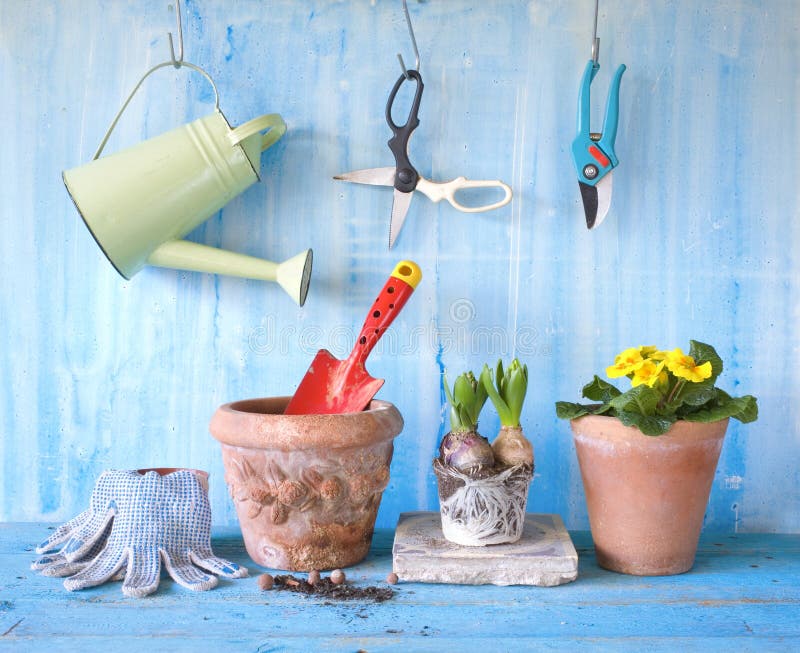 Spring Flowers and Gardening Tools Stock Image - Image of object ...