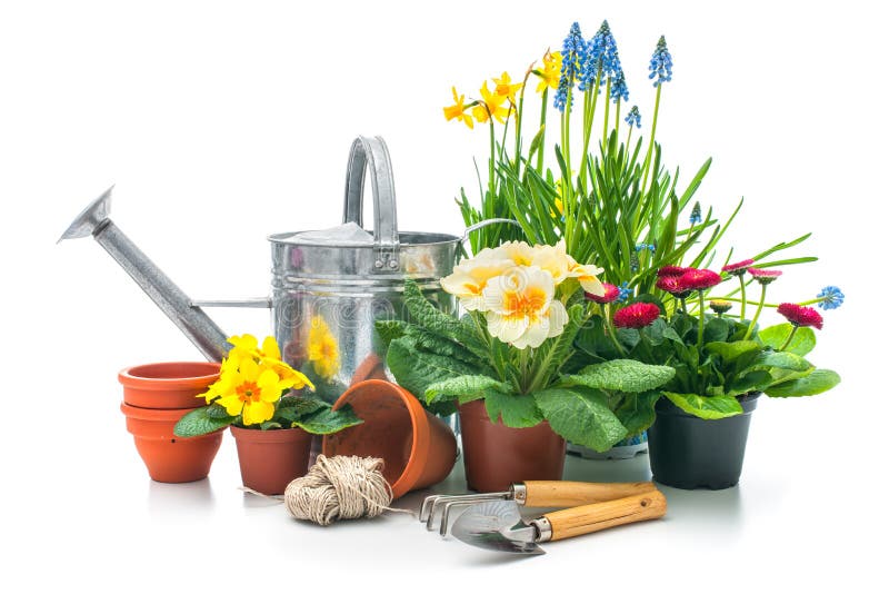 Gardening Tools and Spring Flowers on the Terrace Stock Photo - Image ...