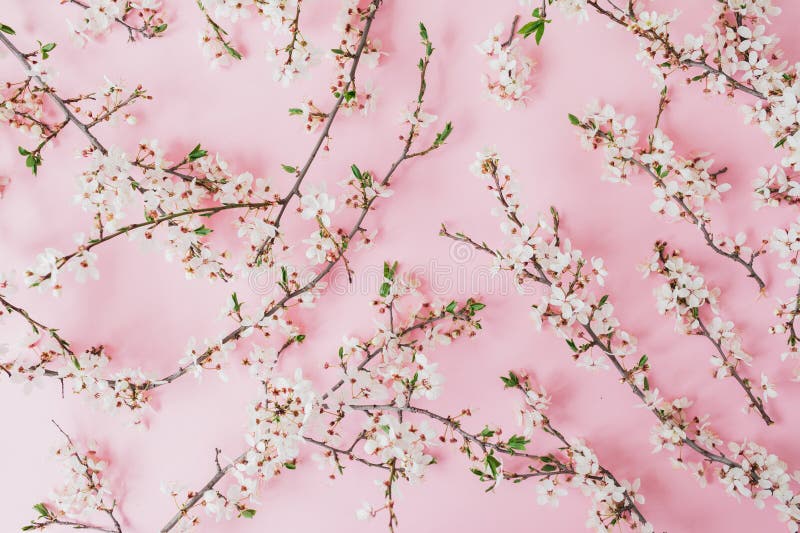 Spring Flowers on Gentle Pink Background. Flat Lay, Top View Stock ...