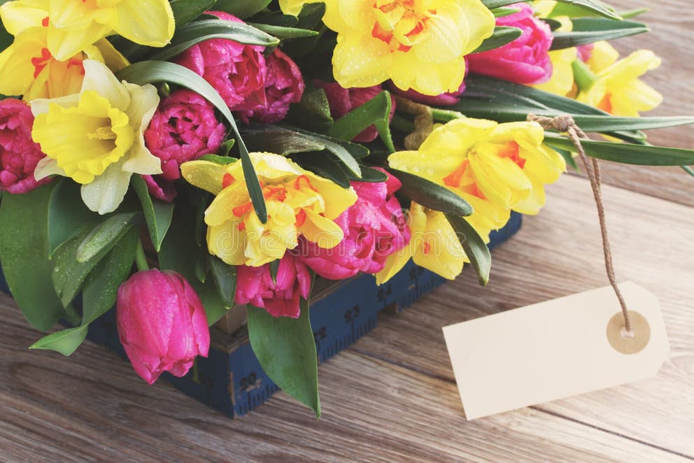 Spring Flowers with Gift Box Stock Photo - Image of daffodils, bloom ...