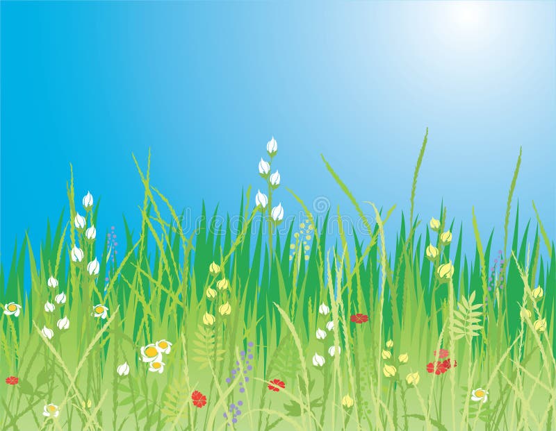 Spring. Flowers & Grass - Vector Stock Vector - Illustration of flower ...
