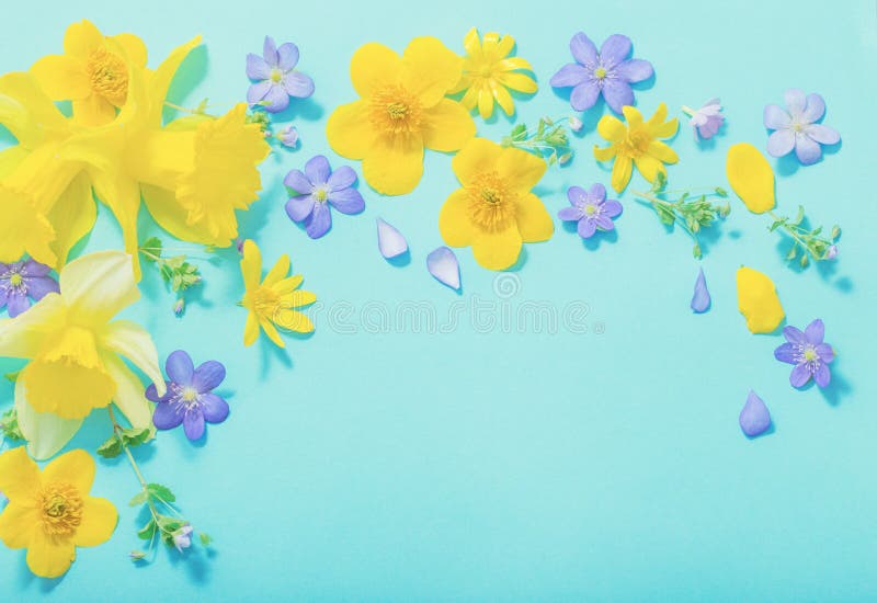Spring Flowers on Green Background Stock Image - Image of flower ...